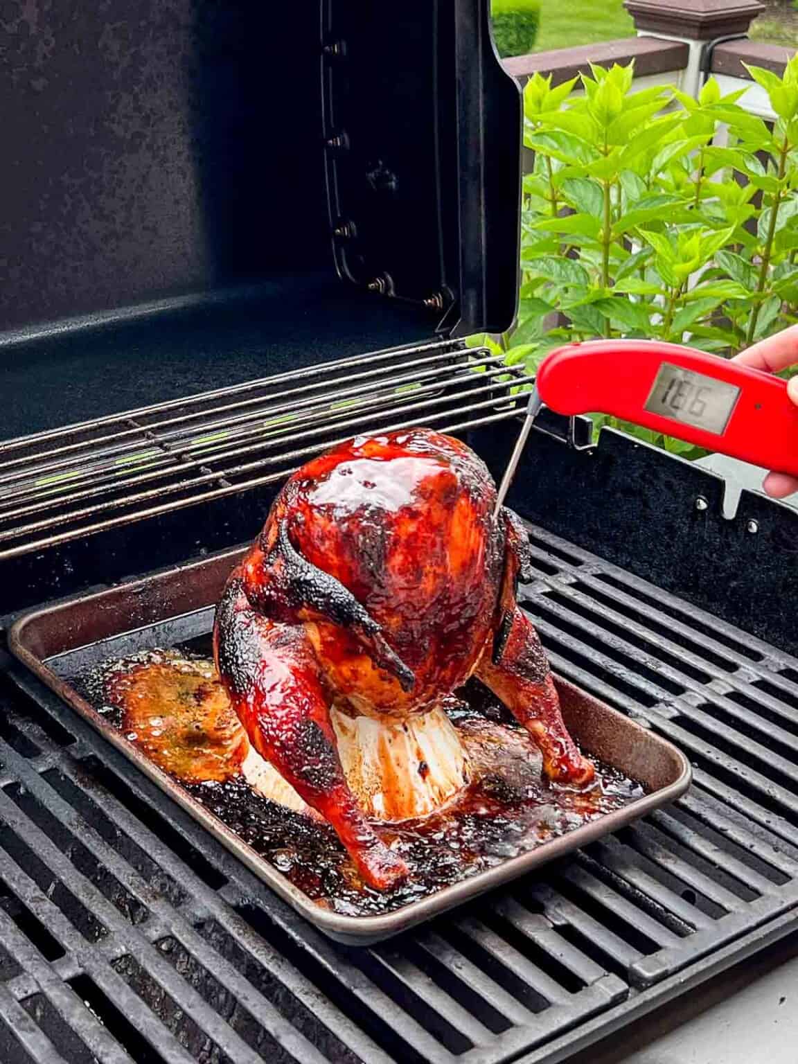 Grilled Beer Can Chicken - Seanna's Kitchen