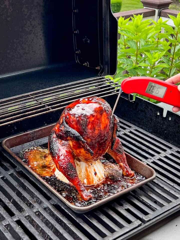 Grilled Beer Can Chicken - Seanna's Kitchen