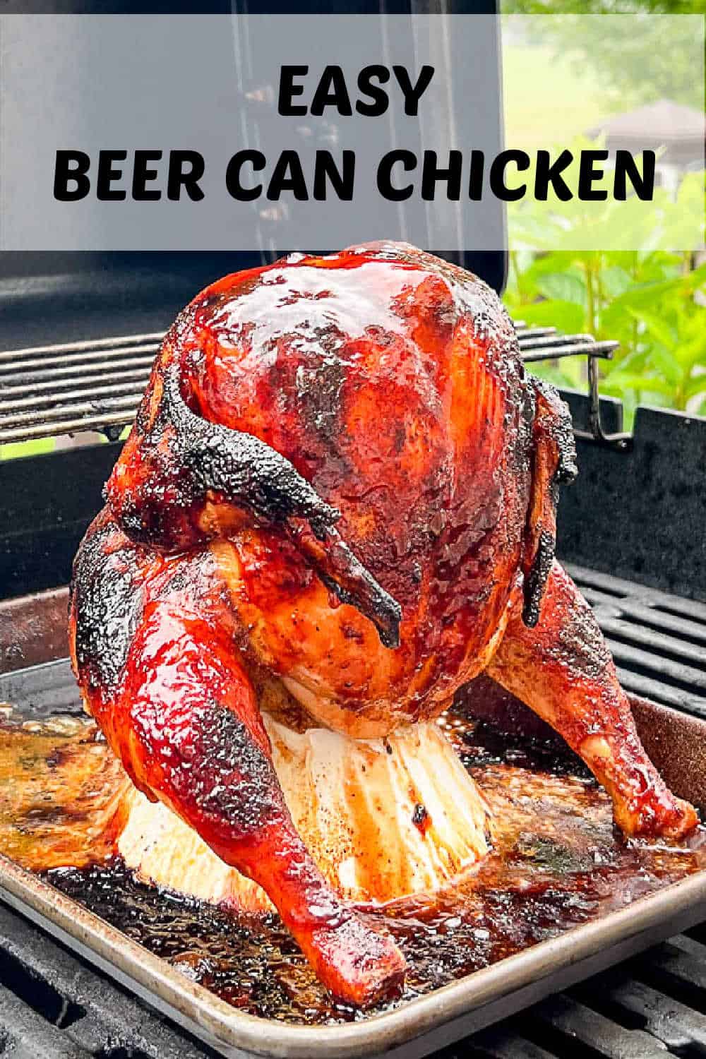 Grilled Beer Can Chicken Seannas Kitchen